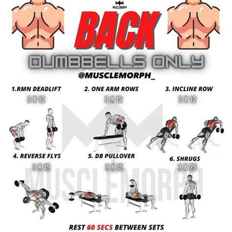 Back Muscles Workout With Dumbbells