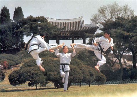 Taekwondo Itf Pour Tout Apprendre Au Sujet Du Taekwondo Itf