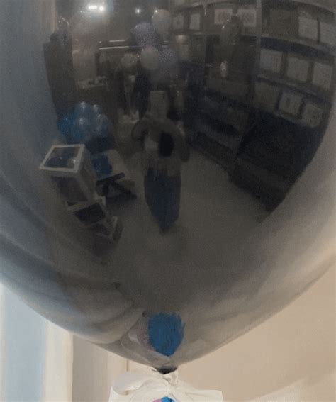 Gender Reveal