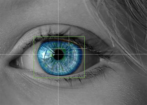 Neurolab — Department Of Marketing Innovation And Organisation — Ghent