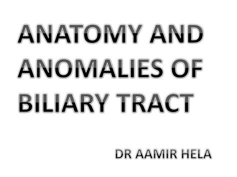 Gall Bladder Ultrasound Ppt