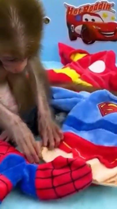 Cartoon Videomunky Videofunny Videofun Video Youtube