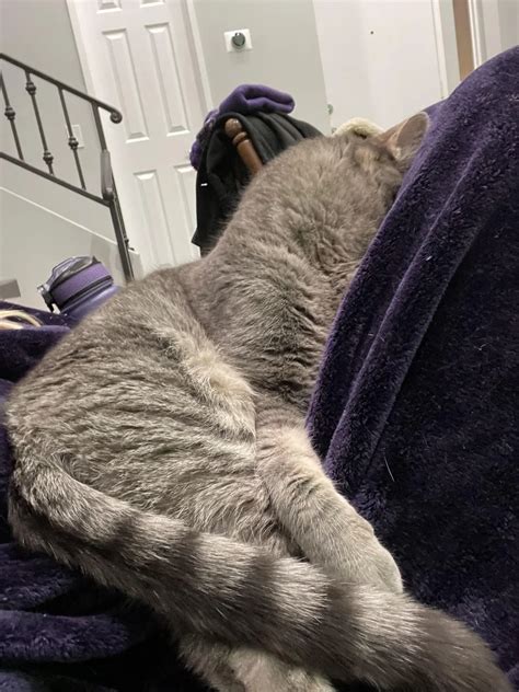 Night Night For Buzz Scrolller Night Night For Buzz Scrolller