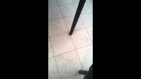 Sex In Schol Youtube