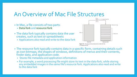 Examining Mac File Structures Pptx