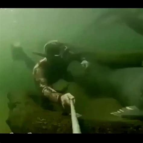 Fish Looks Unbelievably Big Rmegalophobia