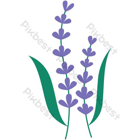 Floral Illustration Vector Dicot Thing Of Colorful Flat With Theme Png