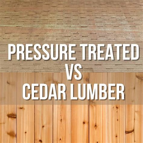 Pressure Treated Pine Vs Cedar Which Is Best For You