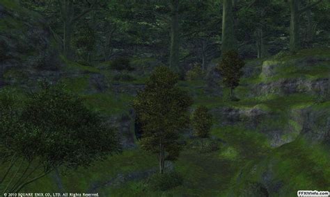 The Black Shroud Maps FFXIV A Realm Reborn Info FF