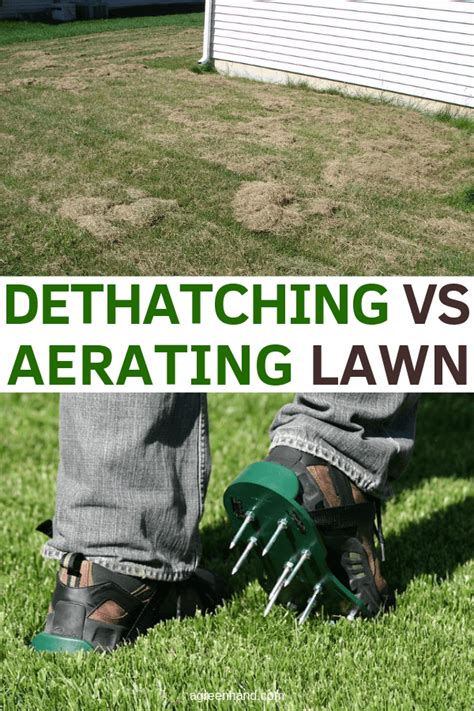 Dethatching Vs Aerating Lawn What Is The Best For Your Lawn