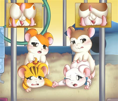 Hamtaro