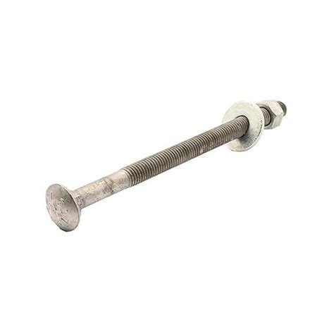 1 4 20 X 8 50 Pack Galvanized Carriage Bolt Kit Grade 307a Includes