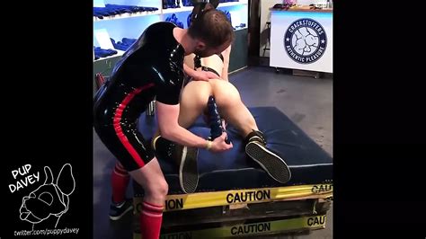 Pup Davey Gay Porn Videos Sex Model Nudes Xhamster