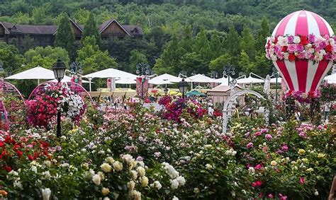 에버랜드 세계장미회 선정 ‘최우수 정원상