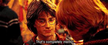 24 Hilarious Sex Things That Happen In Every Harry Potter Fic