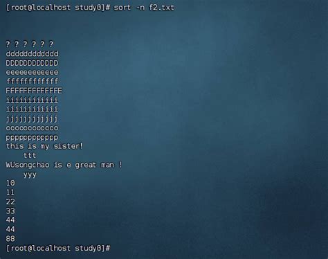 Linux命令基础02 Csdn博客