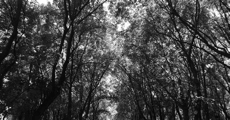 If 2022 2 Vie 2453 Guerrero Barrientos Itzel Paola