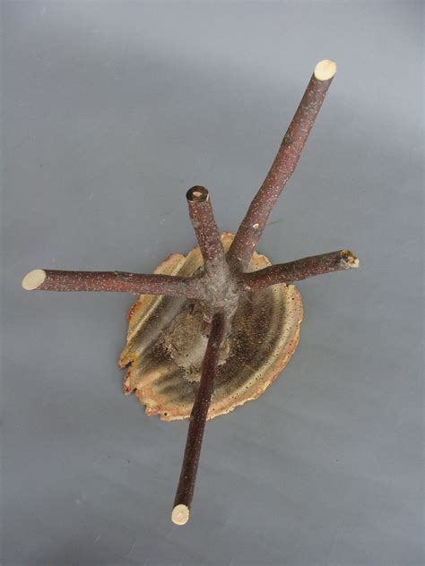 Small Display Table Etsy