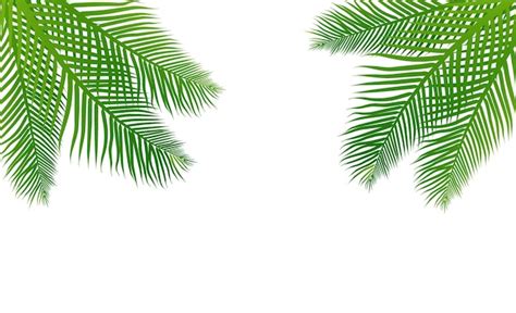 Premium Vector Green Leaf Design