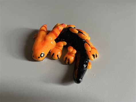 Made A Lizard D Rrainworld