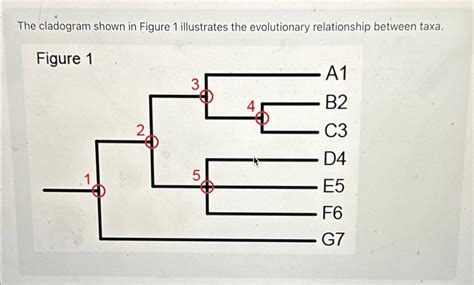 Solved The Cladogram Shown In Figure 1 ﻿illustrates The