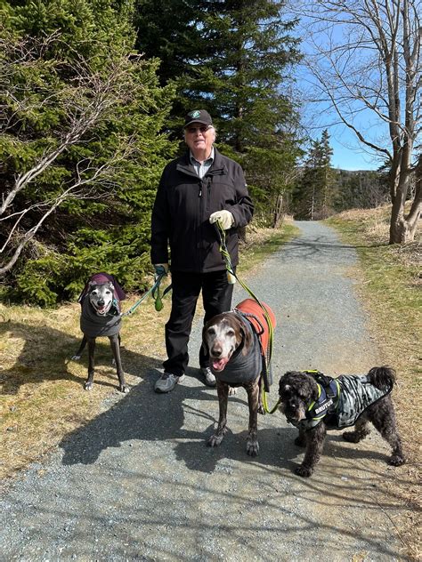 Denise Lear The Snow Has Mostly Melted Away Today 🤗 Dad Facebook