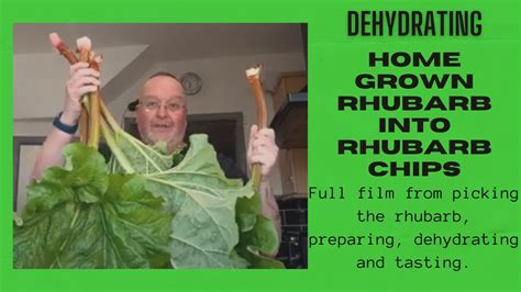 Dehydrating Home Grown Rhubarb Into Delicious Rhubarb Chips Youtube