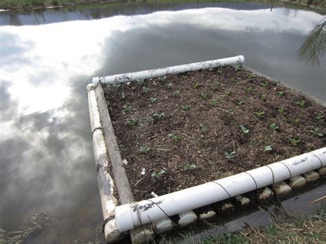 Floating Vegetable Garden Home Design Garden And Architecture Blog Magazine