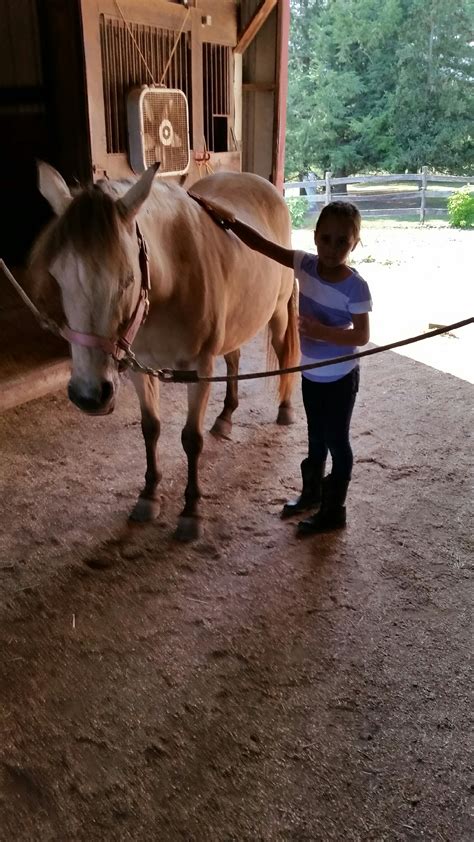 Riding Lesson 1 Keona Farm Riding Lesson 1 Keona Farm