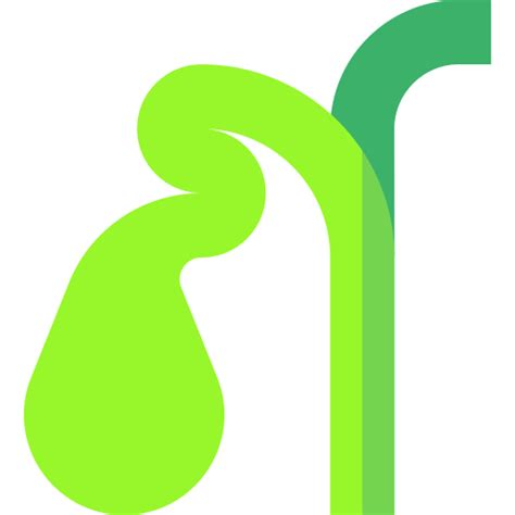 Gallbladder Basic Straight Flat Icon