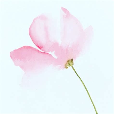 Allison Herrmann R And J Tours