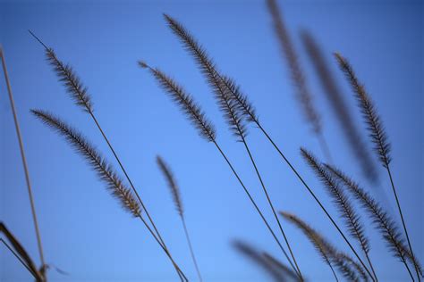 7402 2 Kurt Johnson Photography