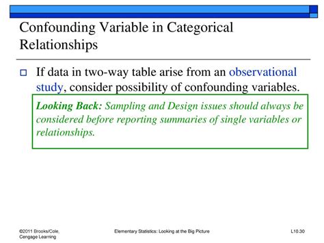 elementary statistics looking at the big picture ppt download