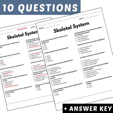 Skeletal System Reading Comprehension Worksheet Passage And Questions