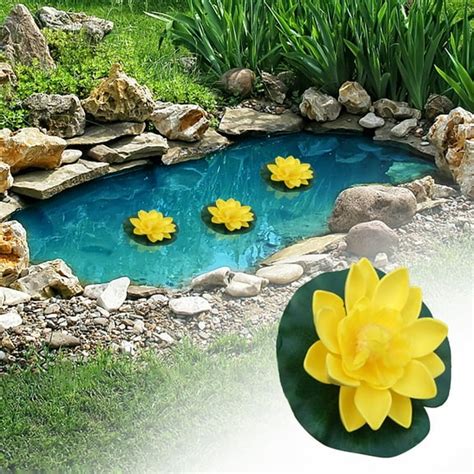 Lotus Plants For Patio And Garden