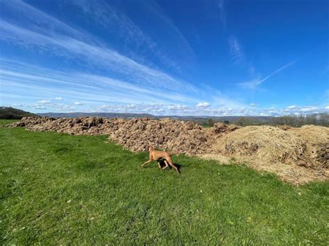 Mike Glavin On Linkedin On Todays Walk I Reflected There May Well Be Times When You Encounter…