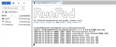 TCP Port Not Working RunPod