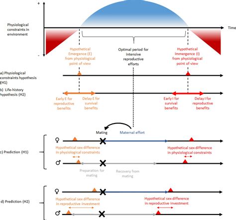 Evolutionary Trade Offs In Dormancy Phenology Elife