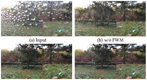 Resotration Visulization Of Our Radnet Without And With Fwm Clearly