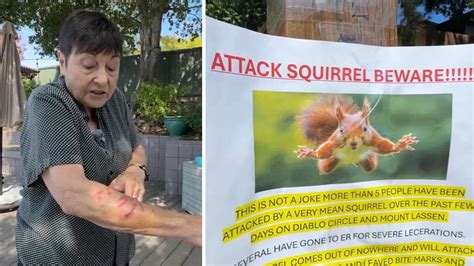 Vicious Squirrel Sends 2 Neighbors To Er Debate Politics