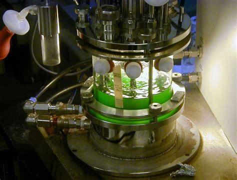 Genetically Engineering Algae For Biodiesel Tech Briefs