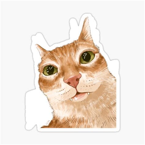 Blank Stare Cat