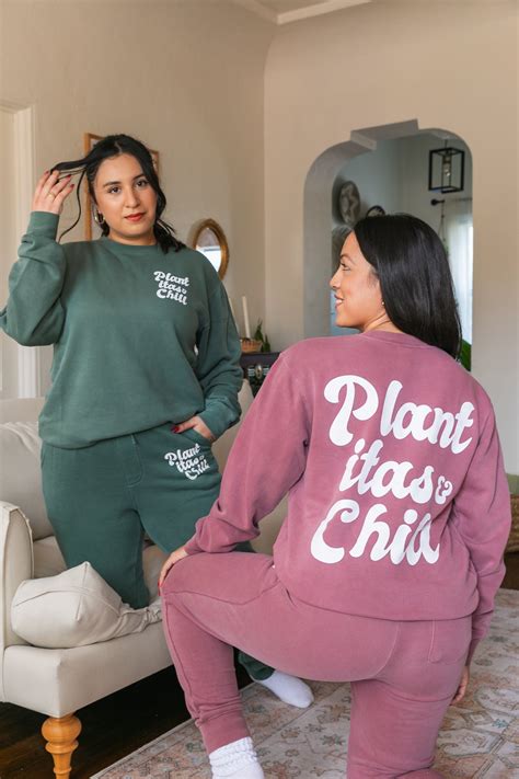 Buy Indoor Plants Accessories Classy Casita Products