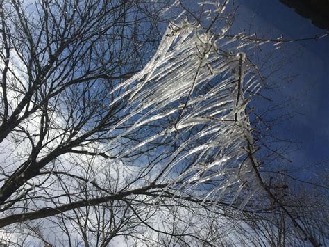 Michael Spencer On Linkedin Hanging Outside The Fleis And Vandenbrink Office In Traverse City Just