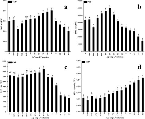 Antioxidase Activity And Mda Content Sod A Pod B And Cat C