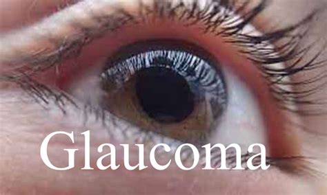 Ai Powered Glaucoma Screening Test Delivers Rapid Results