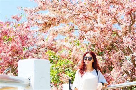 梁玉 梁玉 Added A New Photo