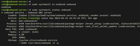 Cómo Configurar Un Resolvedor De Dns Local Con Unbound En Debian Howtoforge