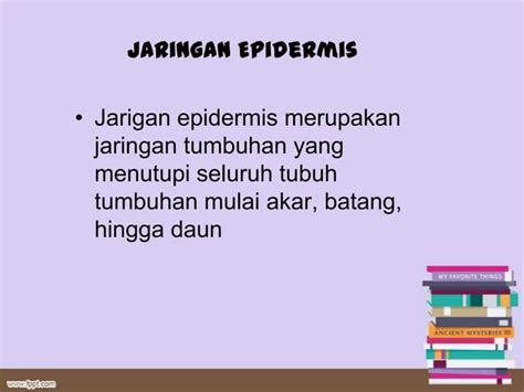 Biologi Epidermis Pptx