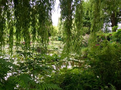 One Touch Of Nature Makes The Whole World Kin William Shakespeare Giverny By Barbara Hoffer